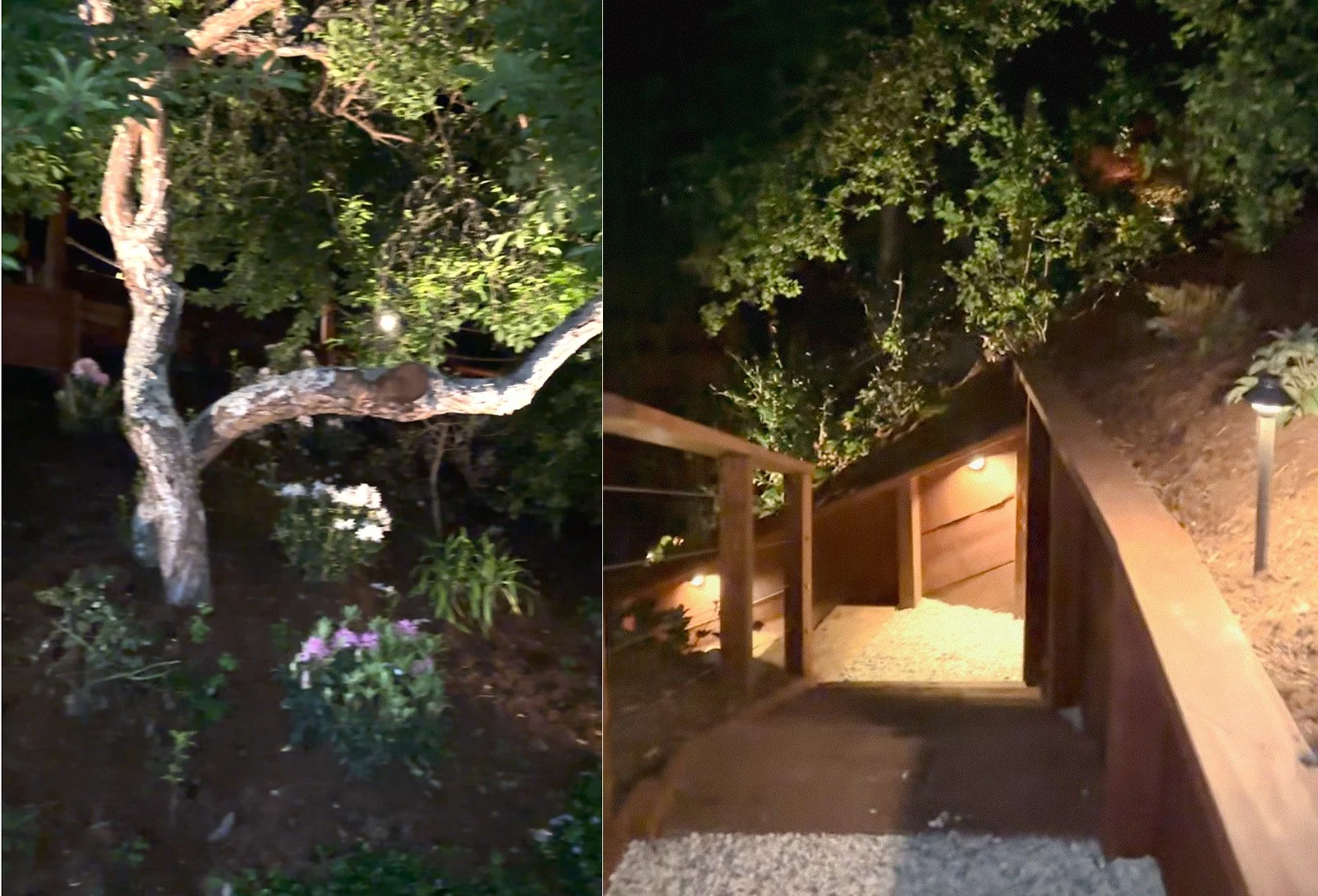 Seating Area on Hillside — Artistic Garden Designs | Silicon Valley ...