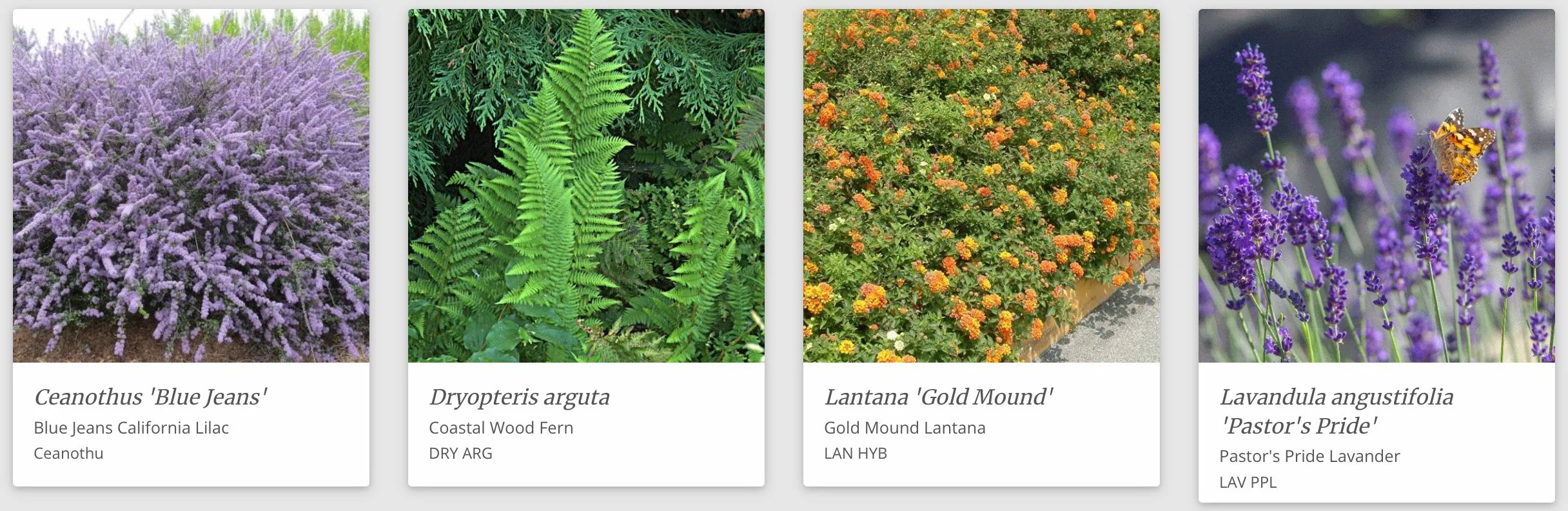 Seating Area on Hillside — Artistic Garden Designs | Silicon Valley ...