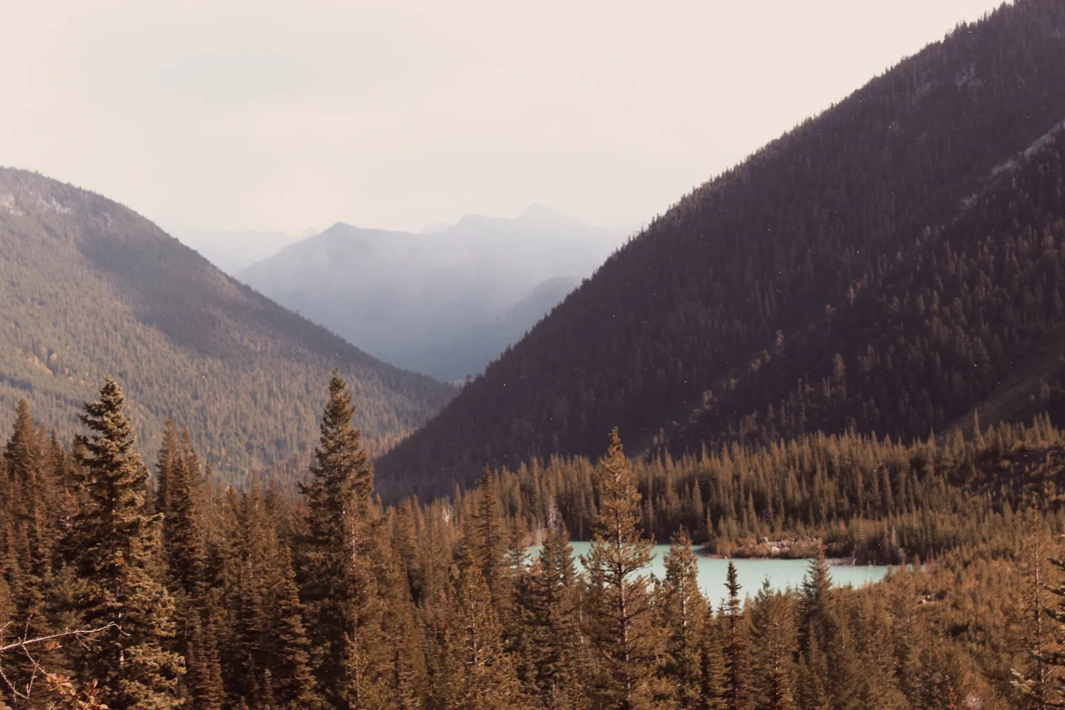 Boats Against the Current