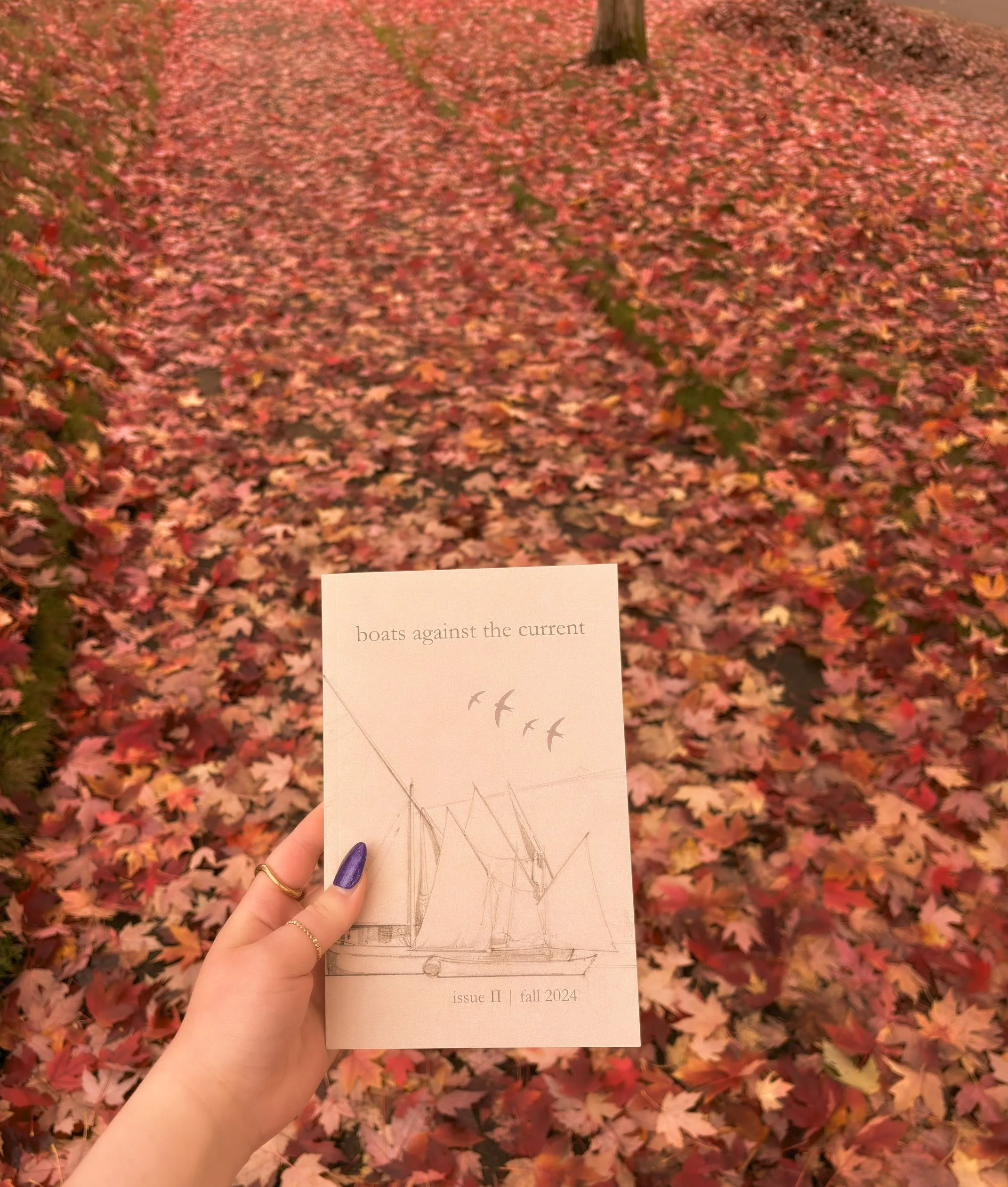 issues — boats against the current