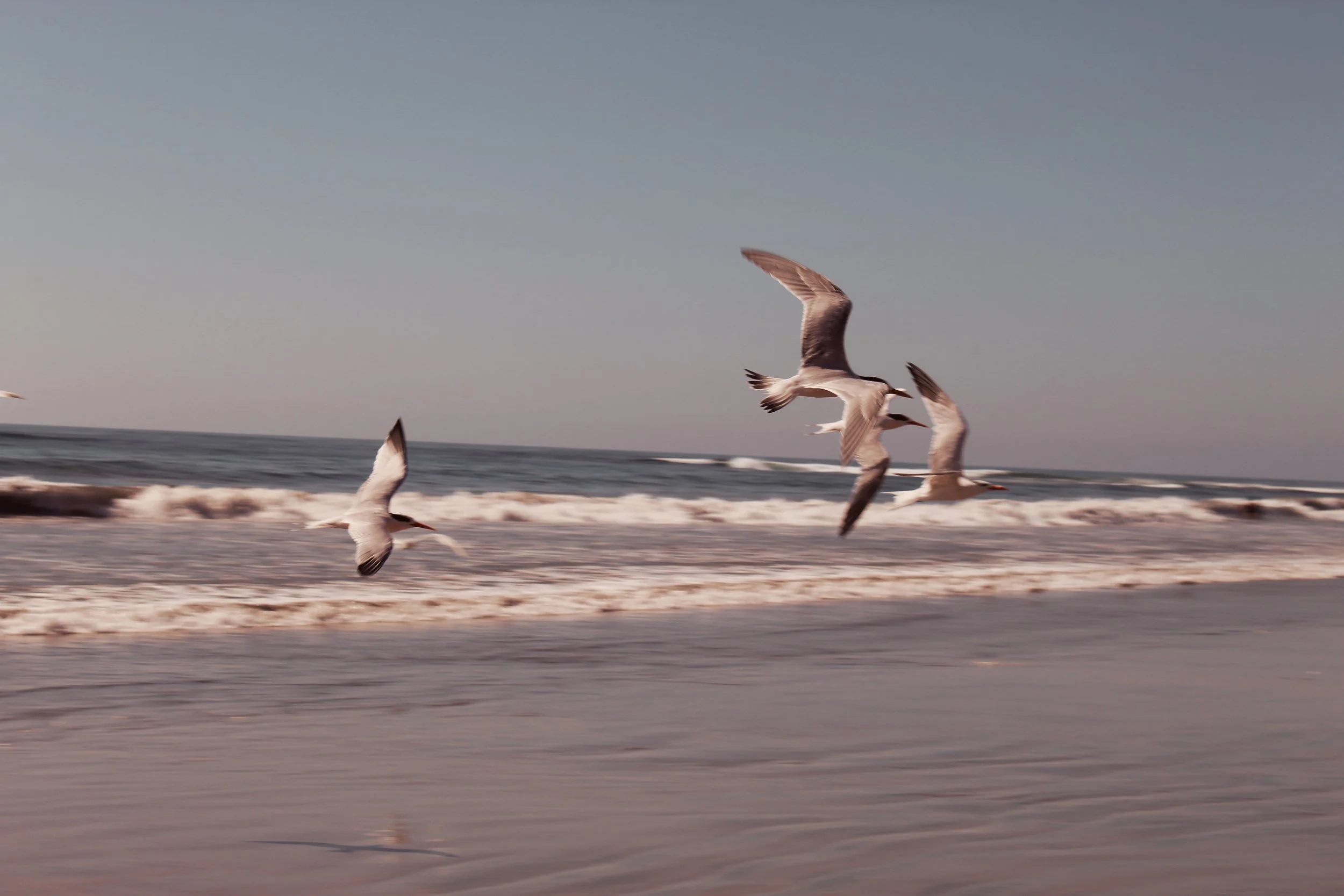 Boats Against the Current