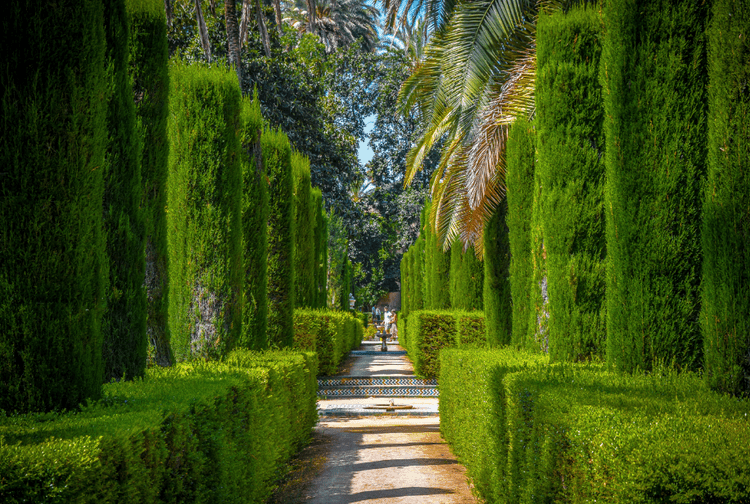 What are the 10 principles of landscape architecture design? — Nilufer ...
