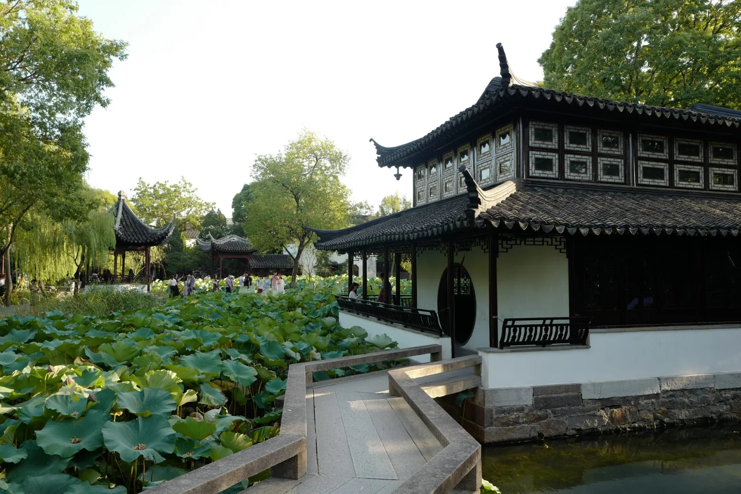exploring the Tranquil Beauty of Chinese Gardens — Nilufer Danis