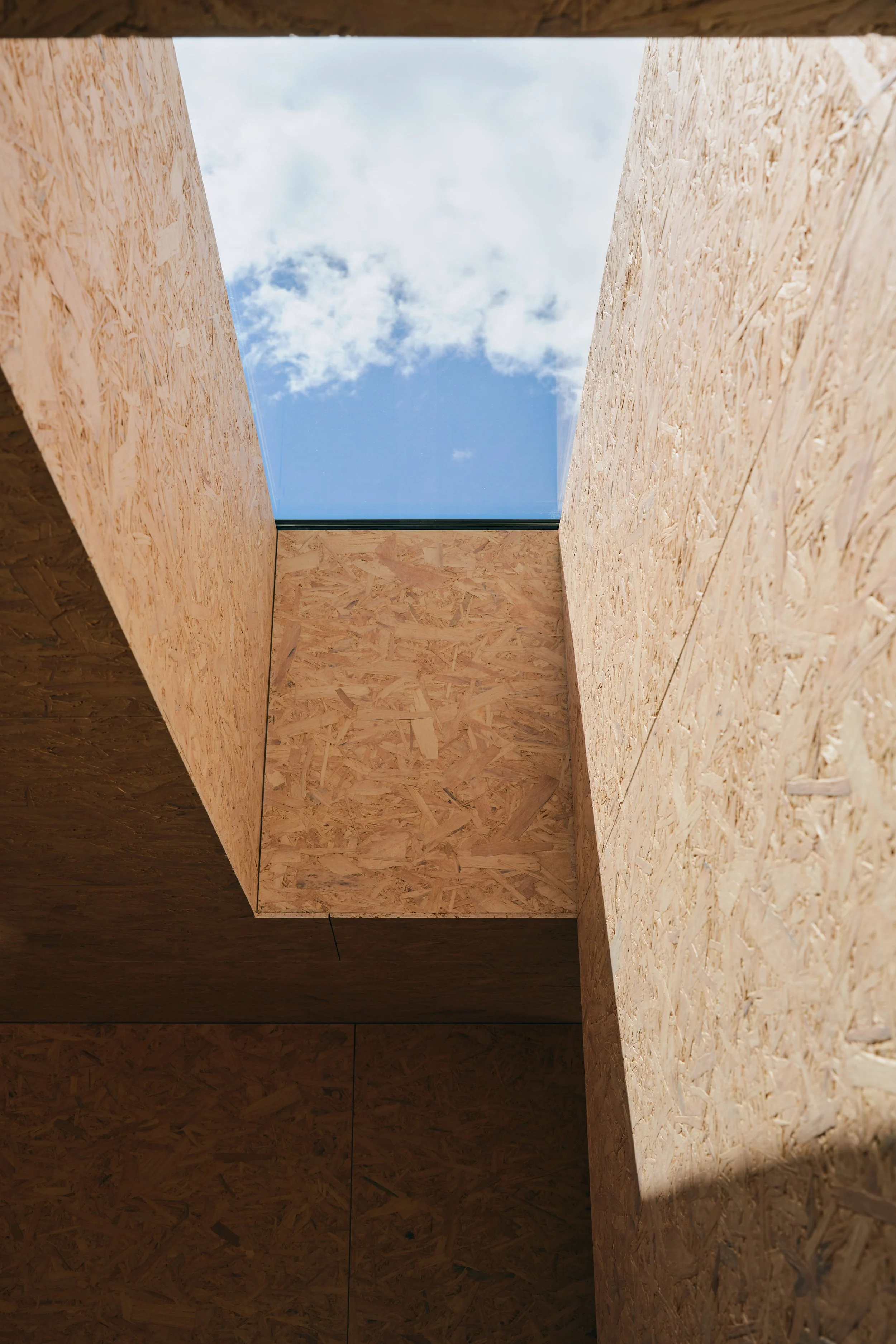 Scout — Strutt Studios