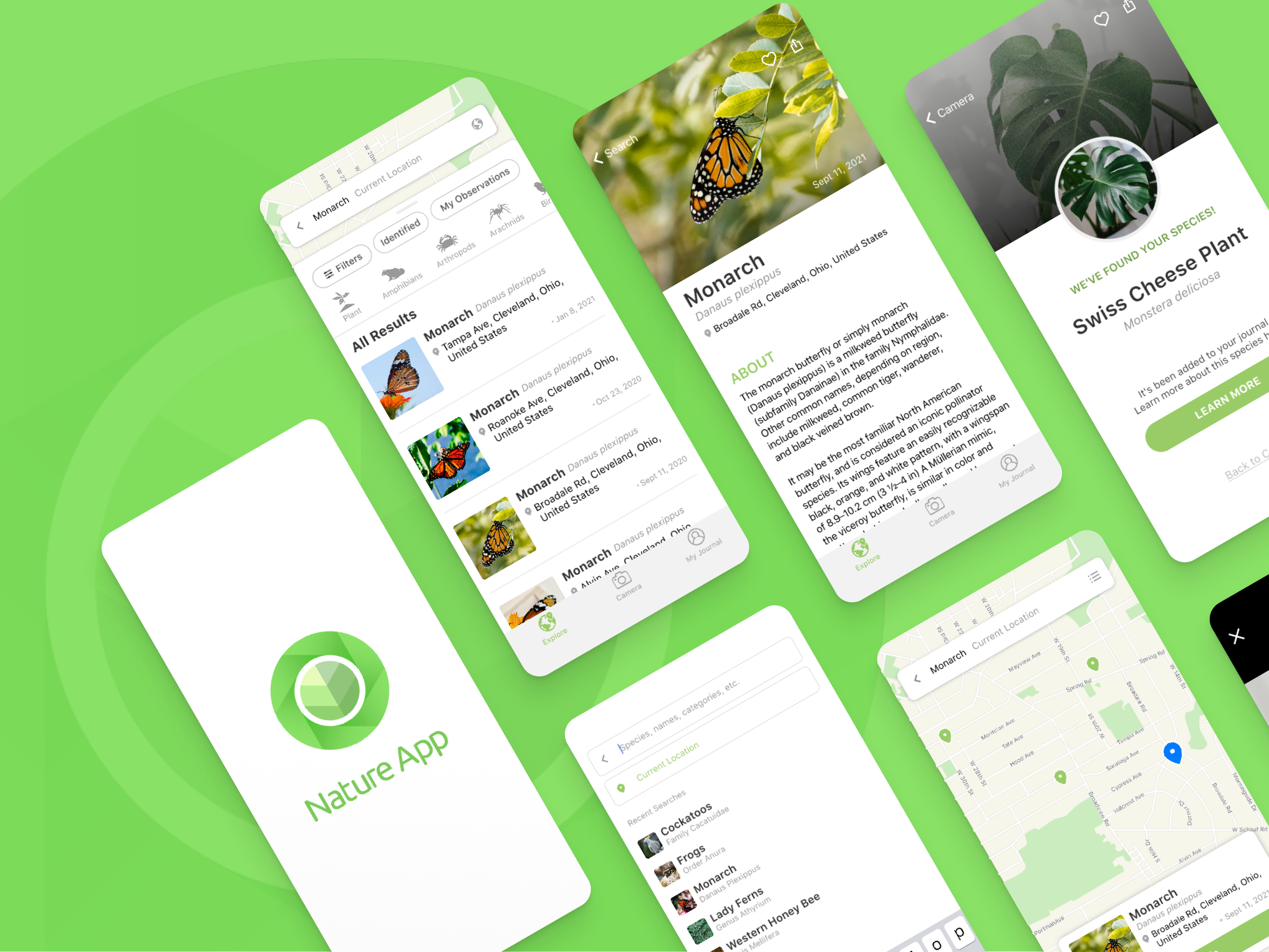 More Projects — Lina Kim Portfolio