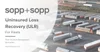 Uninsured Loss Recovery (ULR): A Guide for Fleets — sopp + sopp