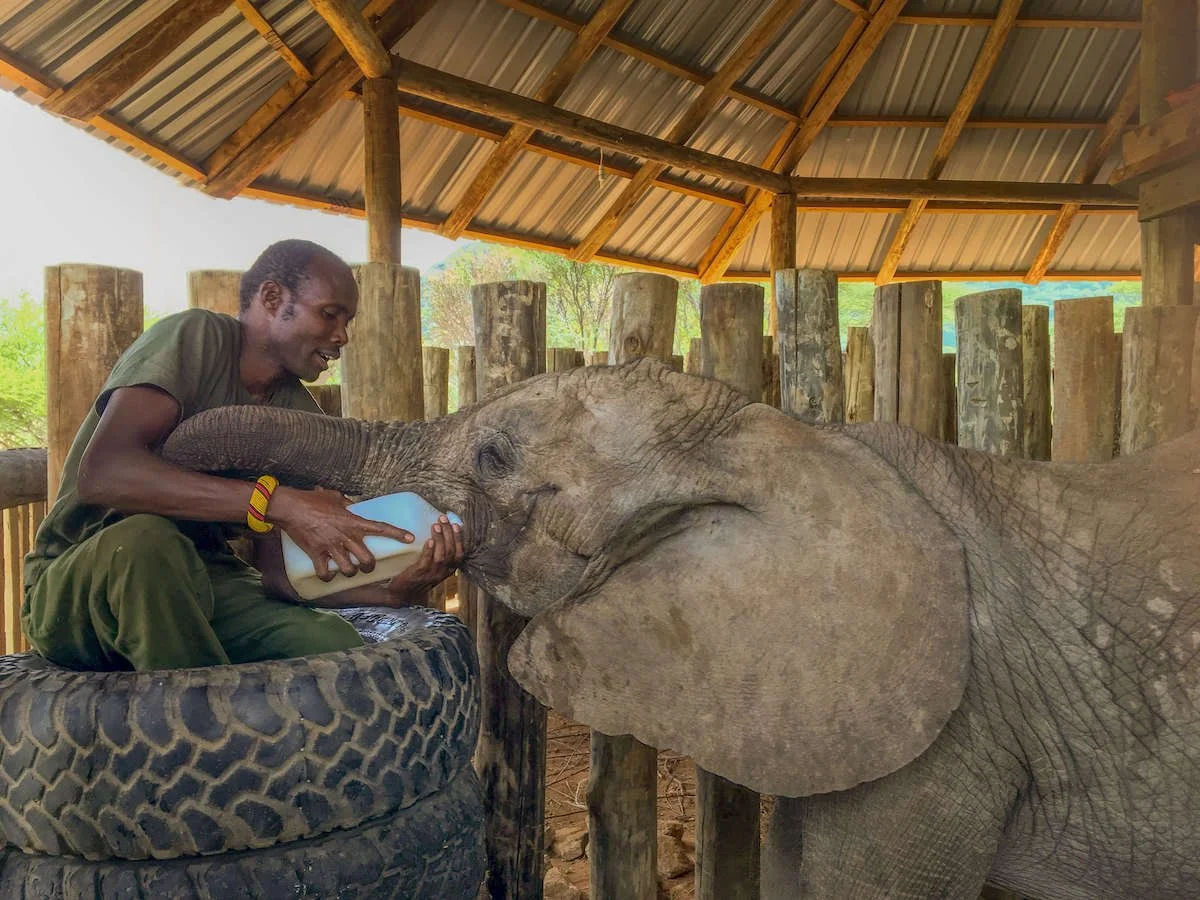 Shaba — Reteti Elephant Sanctuary in Kenya