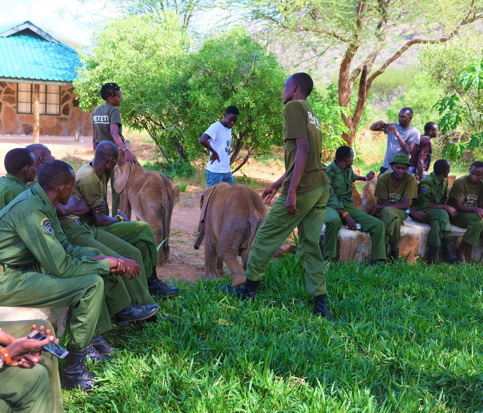 Long’uro’s Party — Reteti Elephant Sanctuary in Kenya