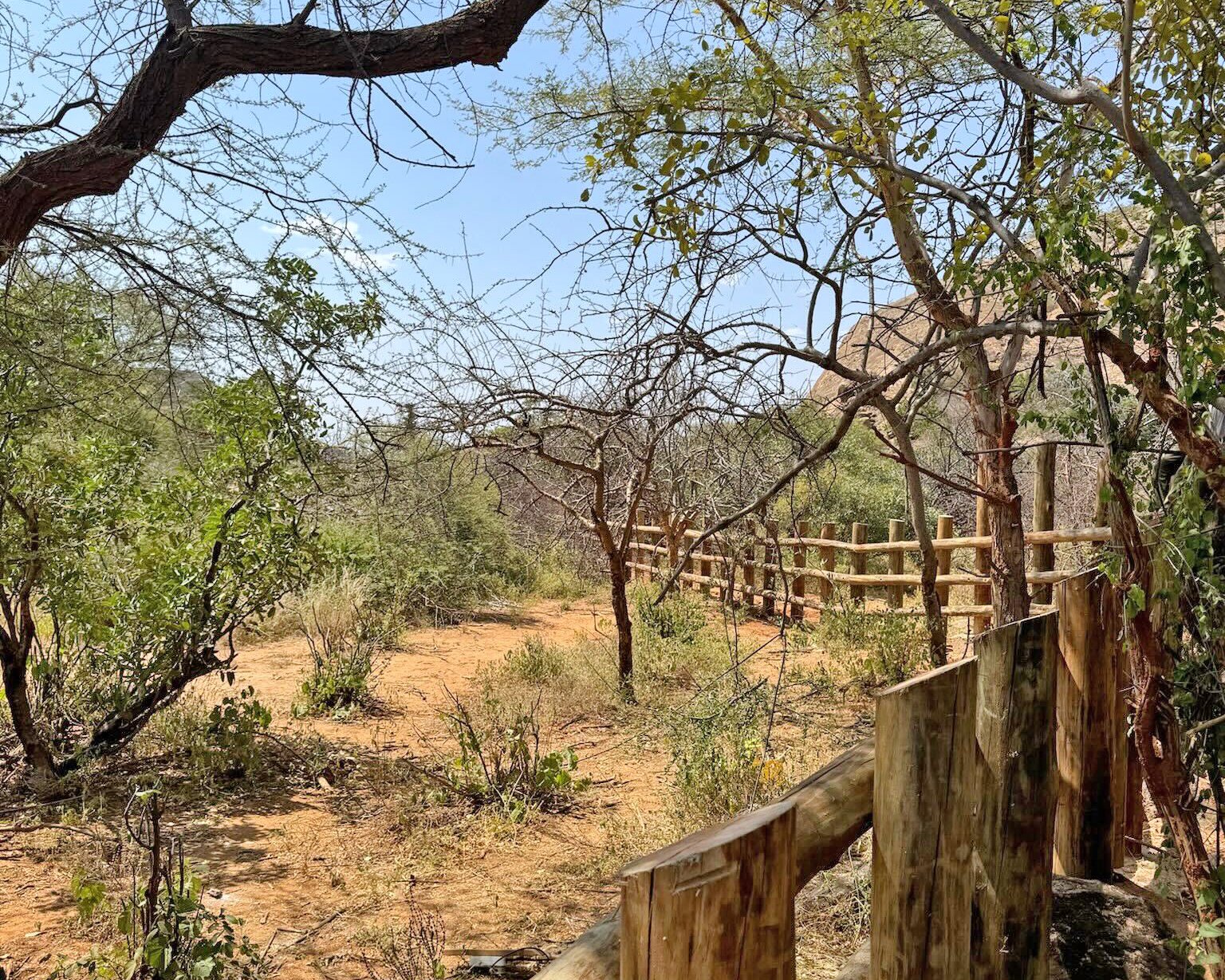 Introducing – the release herd’s boma in the bush! — Reteti Elephant ...