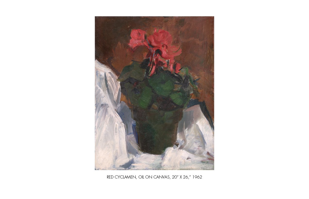 still lifes — HEIDI NITZE