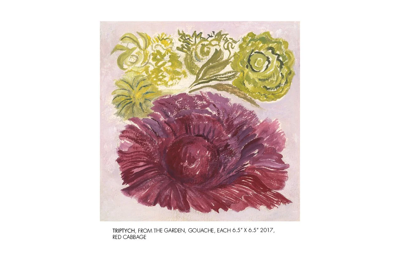 still lifes — HEIDI NITZE