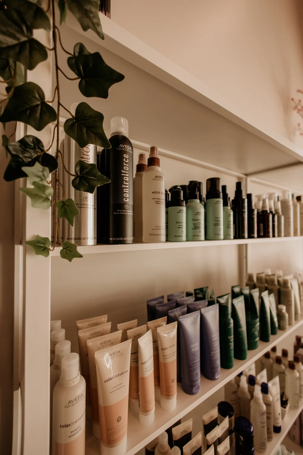 salon — Cedar Rose