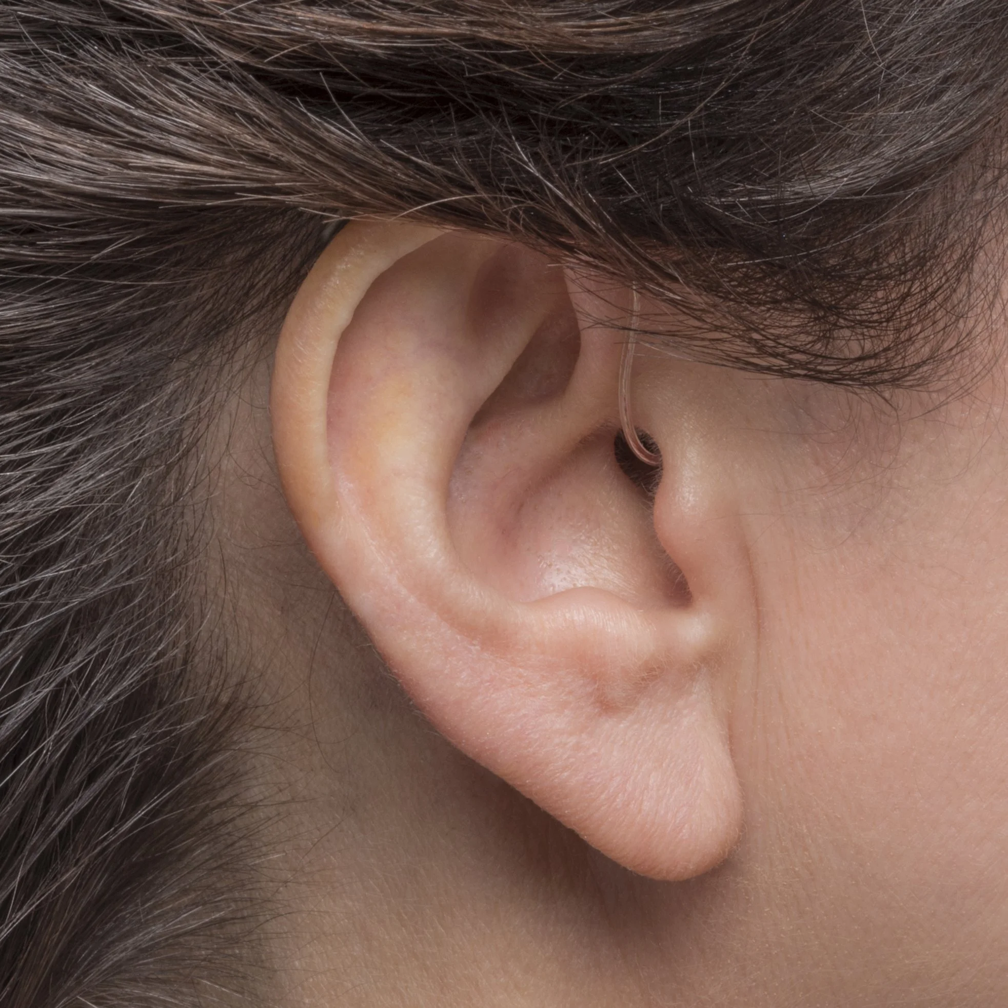 Different Styles of Hearing Aids — Hearing Health Associates - OFFICIAL ...