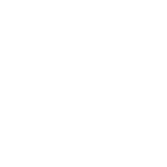 Our Boutiques — Pretty Please Collective
