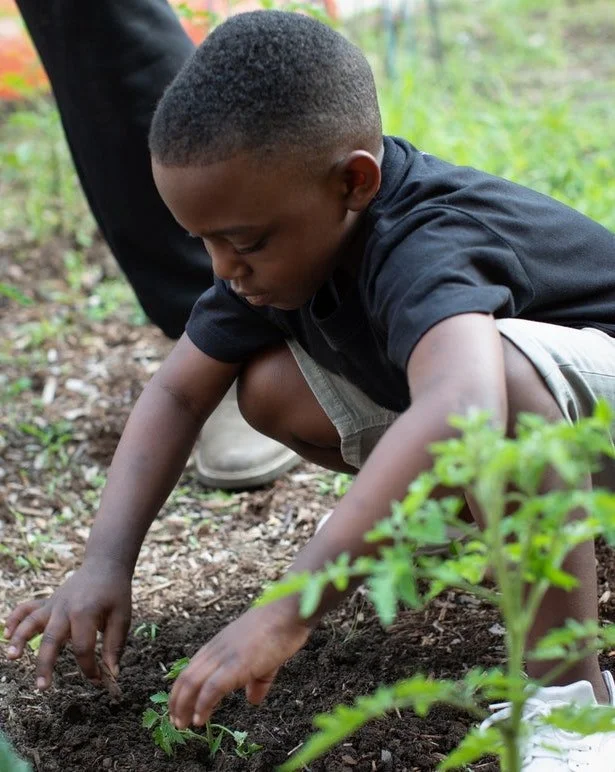 Vision — ANNE STIRES CONSULTING