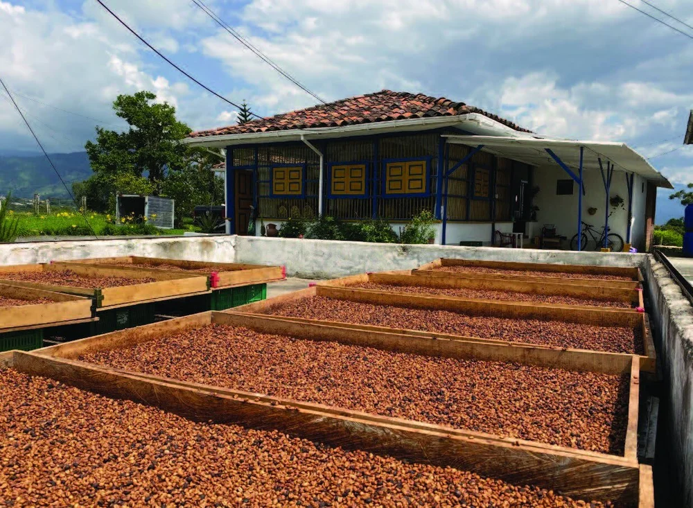 Additive Fermentation: “Infused” Coffee is Gaining Popularity—and ...