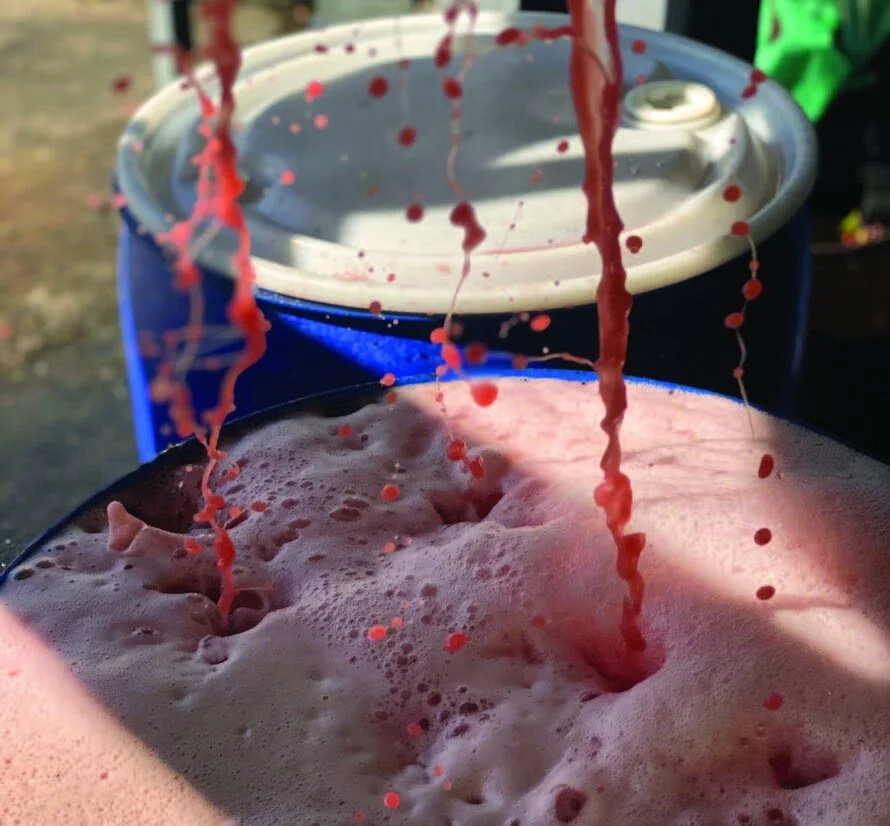 Additive Fermentation: “Infused” Coffee is Gaining Popularity—and ...