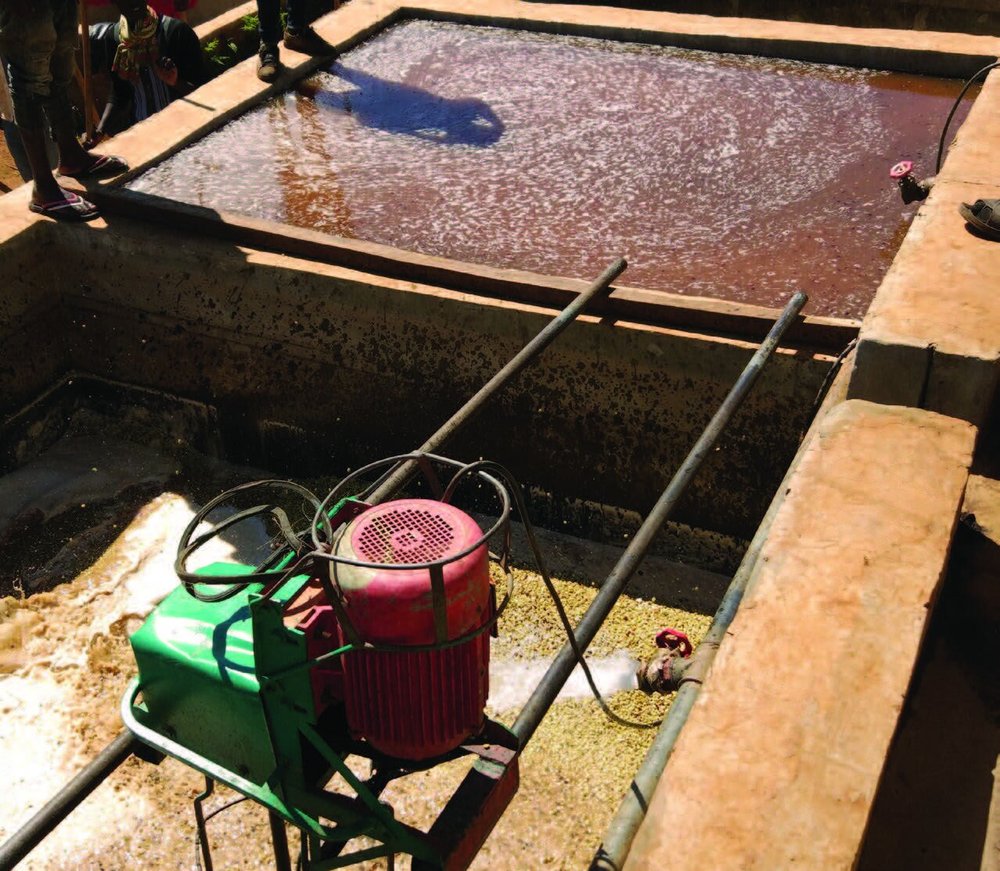 Additive Fermentation: “Infused” Coffee is Gaining Popularity—and ...