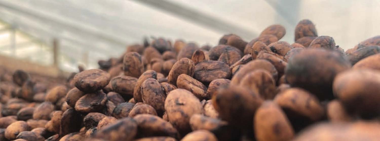 Additive Fermentation: “Infused” Coffee is Gaining Popularity—and ...