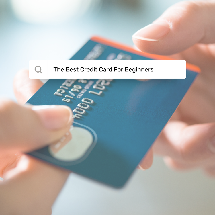 The Best First Credit Card — Adulting With Taylor