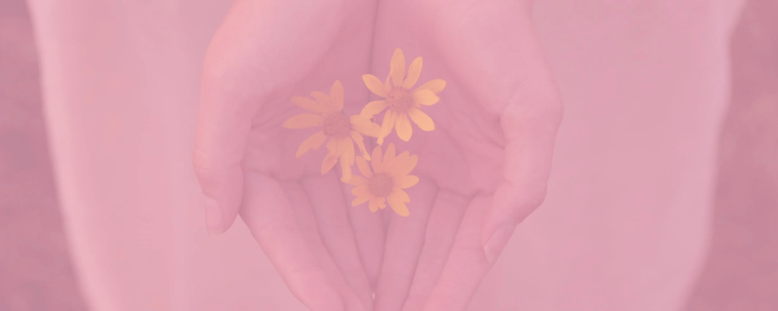 Young Parent Program — Burnaby Family Life - A place to go a place to grow