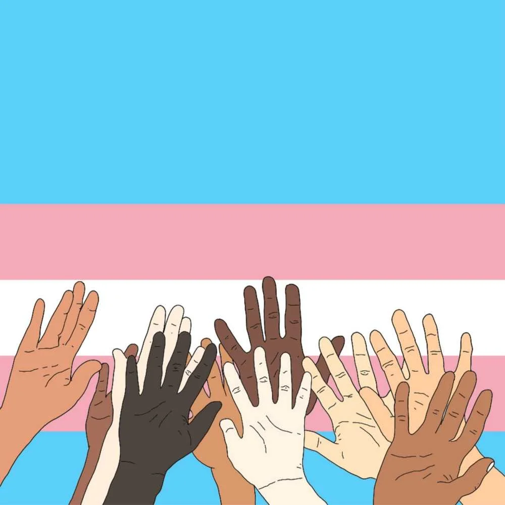 Transgender Health – Adults — Pride in Health