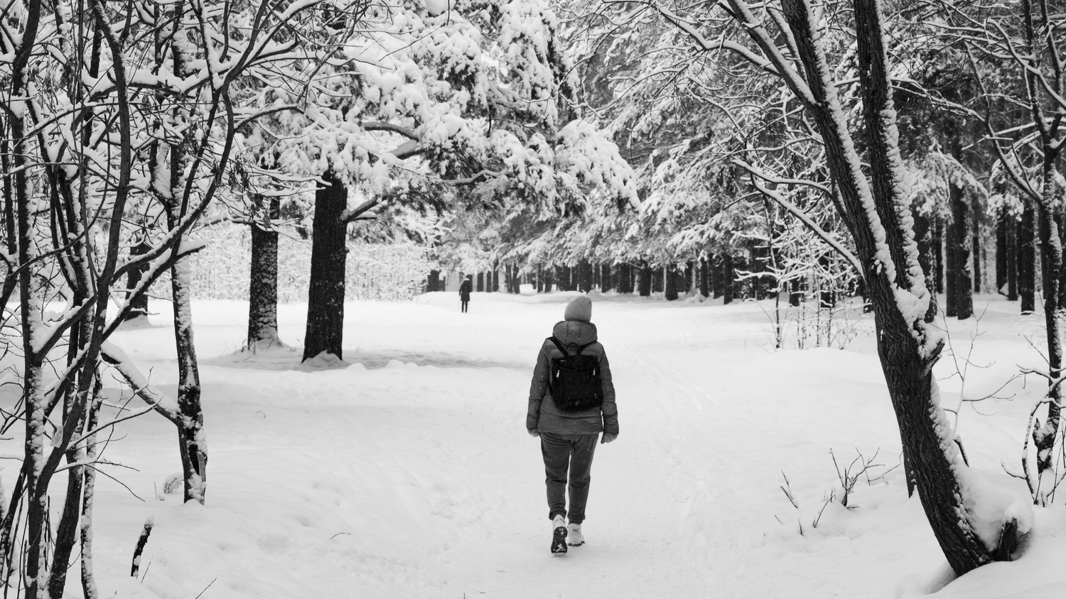 Top 5 Reasons Smart College Students Struggle at the Start of the ...