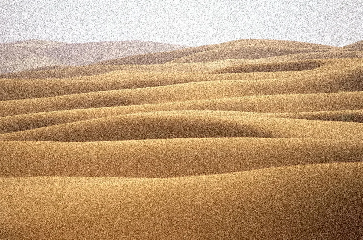 GERMAINE DUNES