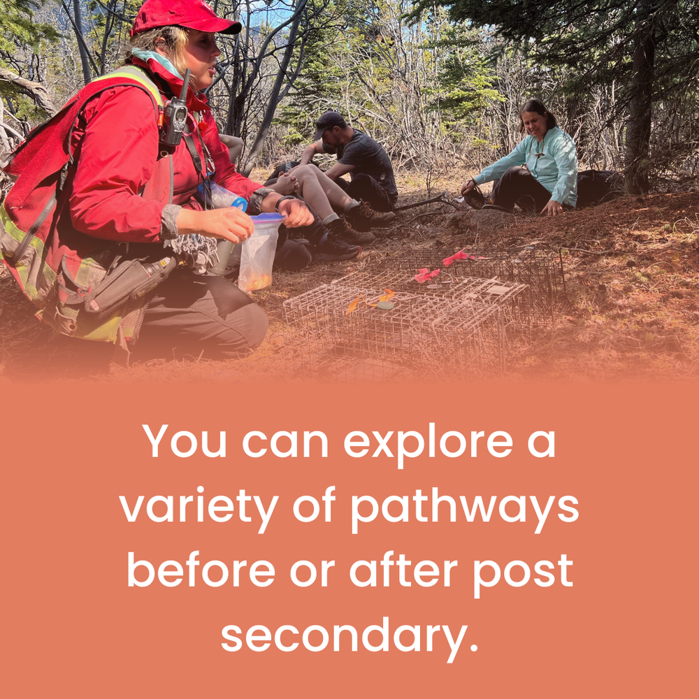 The Howl Experience — Experiential Education Programs for Youth