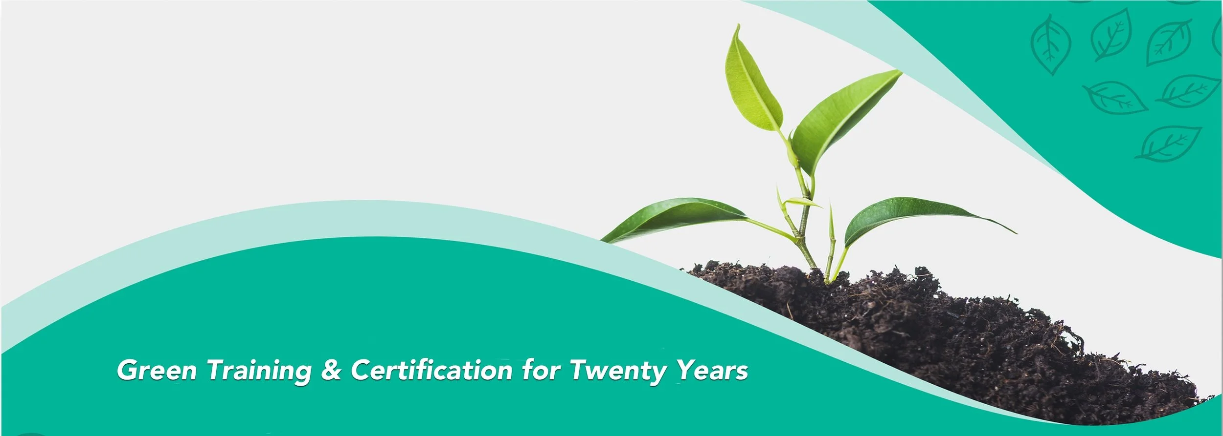 Green Clean Institute Professional Certification