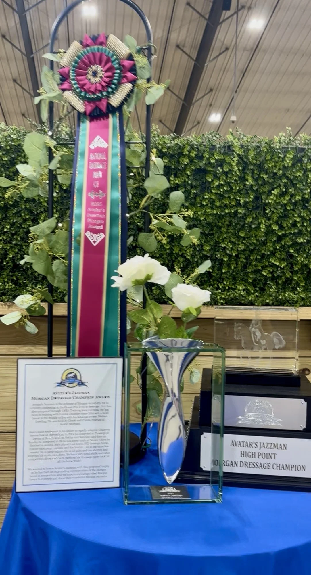 Annual Show — National Dressage Pony Cup