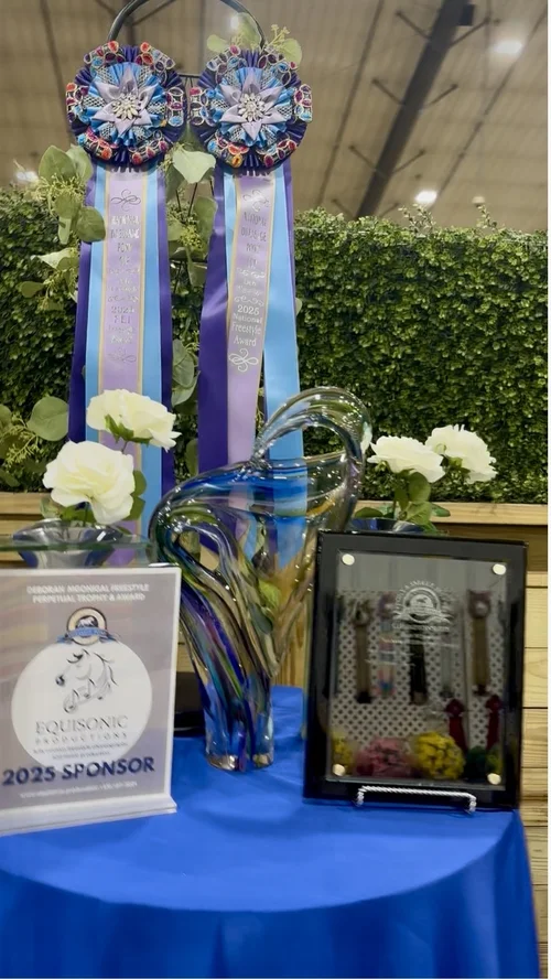Annual Show — National Dressage Pony Cup