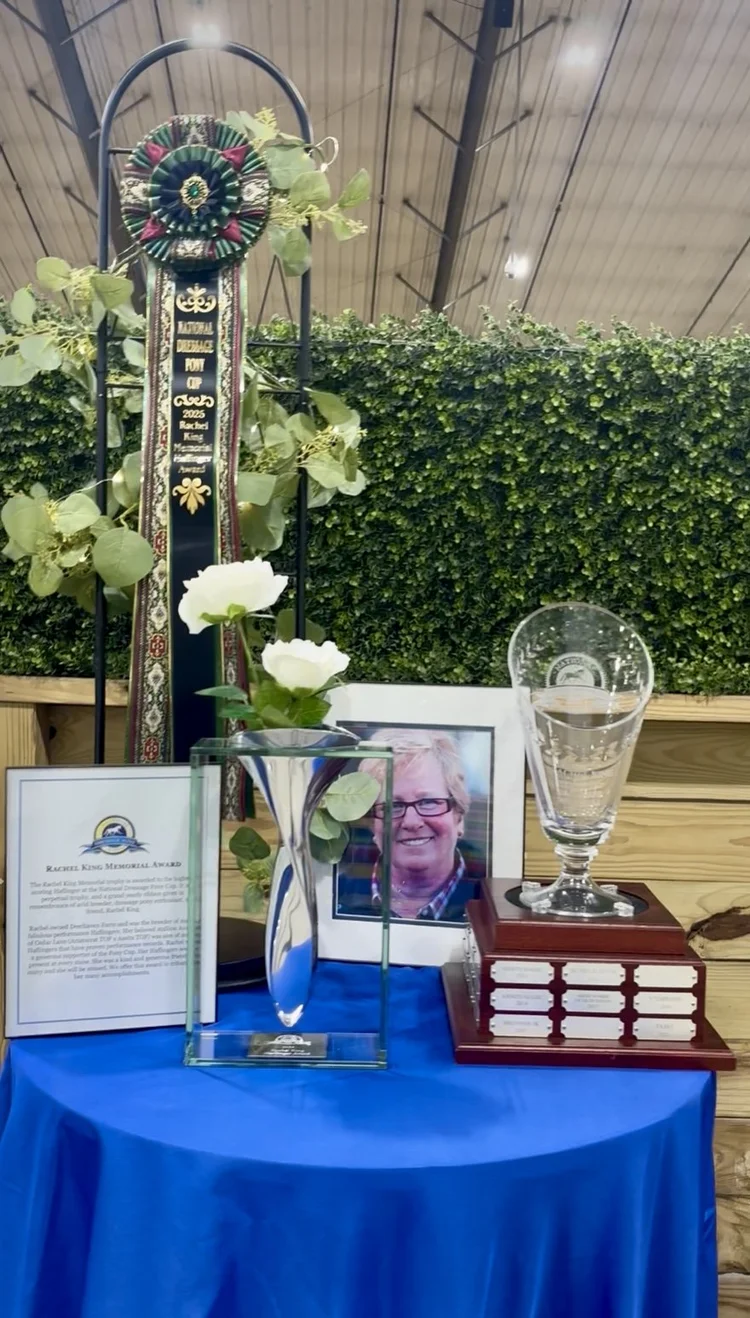 Annual Show — National Dressage Pony Cup