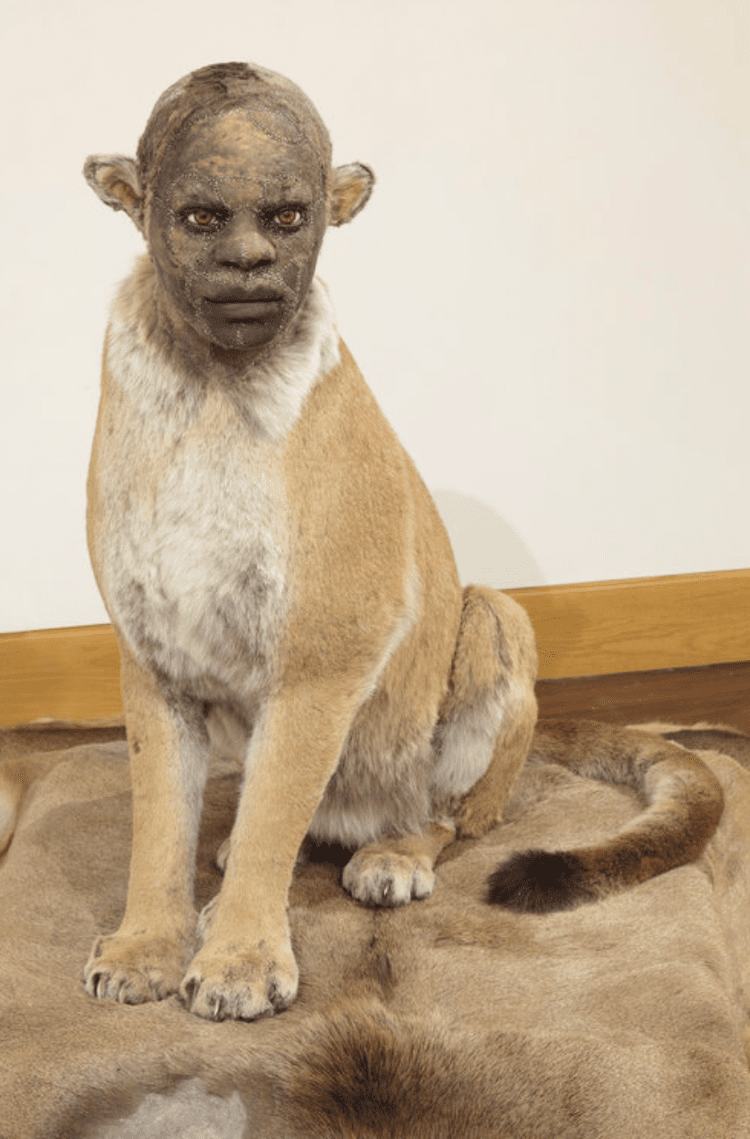 An Interview with Kate Clark — Northwestern Art Review