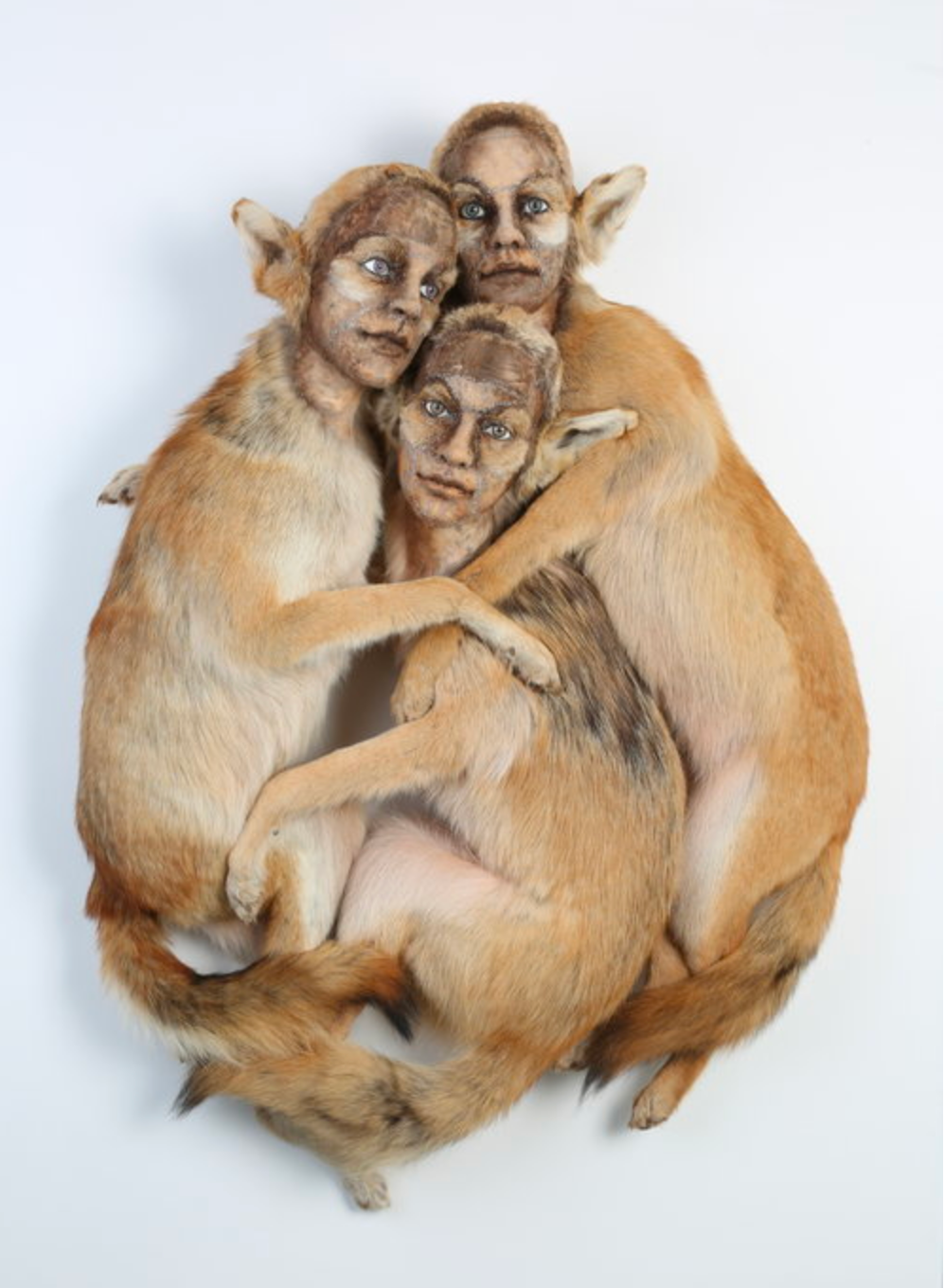 An Interview with Kate Clark — Northwestern Art Review