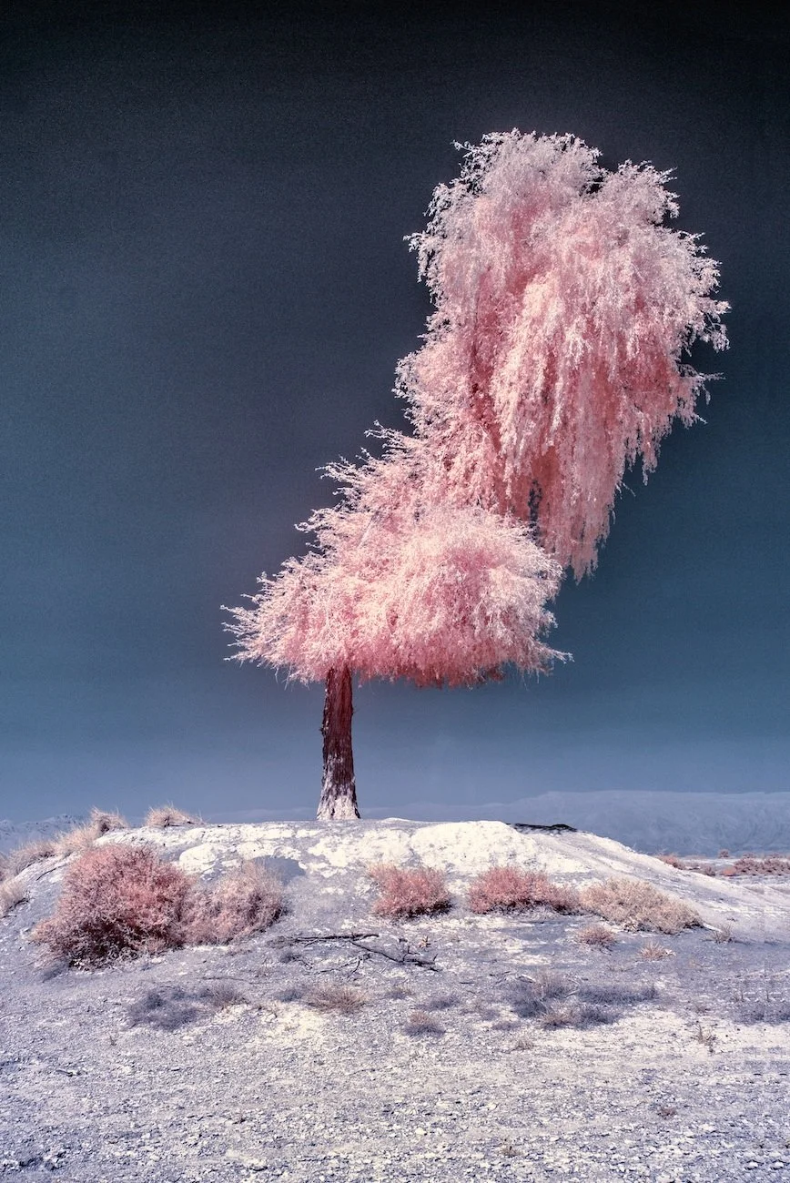Oman in the Infrared Spectrum is a gallery of striking images made with ...