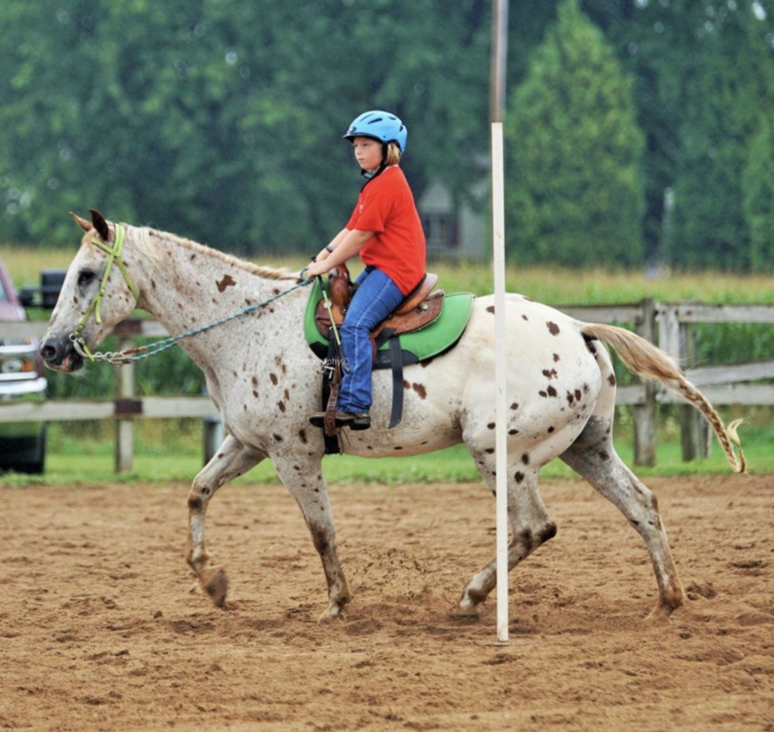 Beaver Creek Saddle & Bridle Club