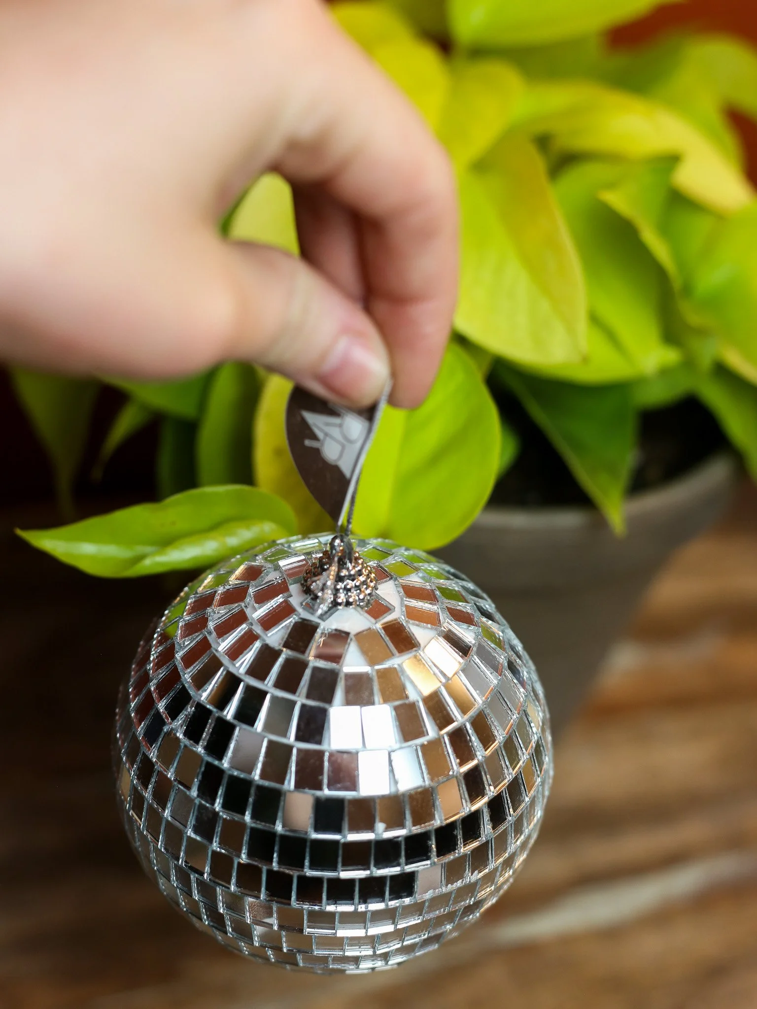 Store 1 — RUINOUS REVIVED