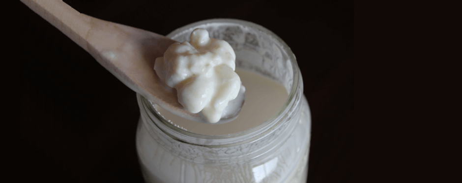 Fermented Foods (Pt. 2) - Yoghurt & Kefir — Townsville & Suburban ...