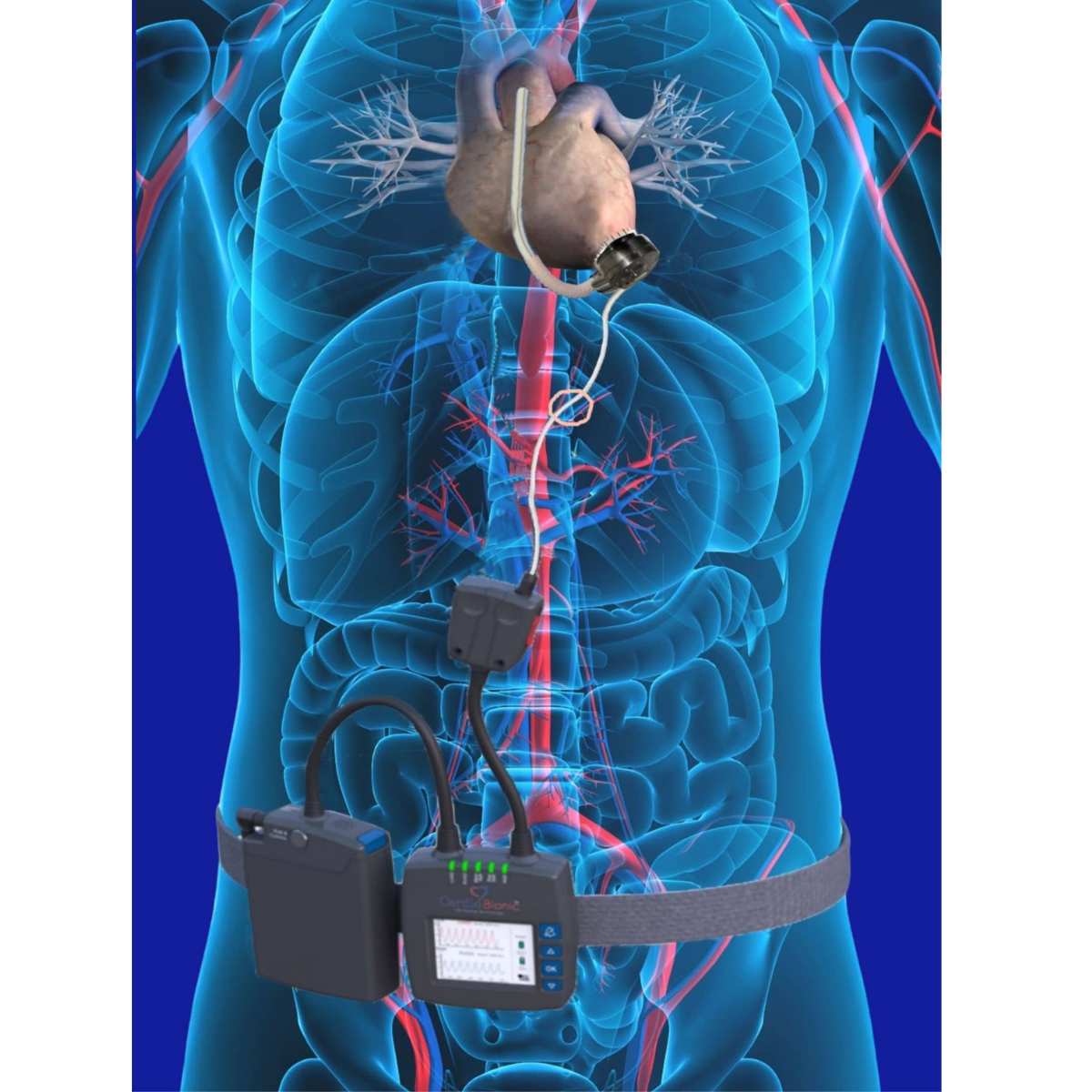 UNSW Strategy: Progress For All - Shaping the Next Century of Impact — UNSW Founders