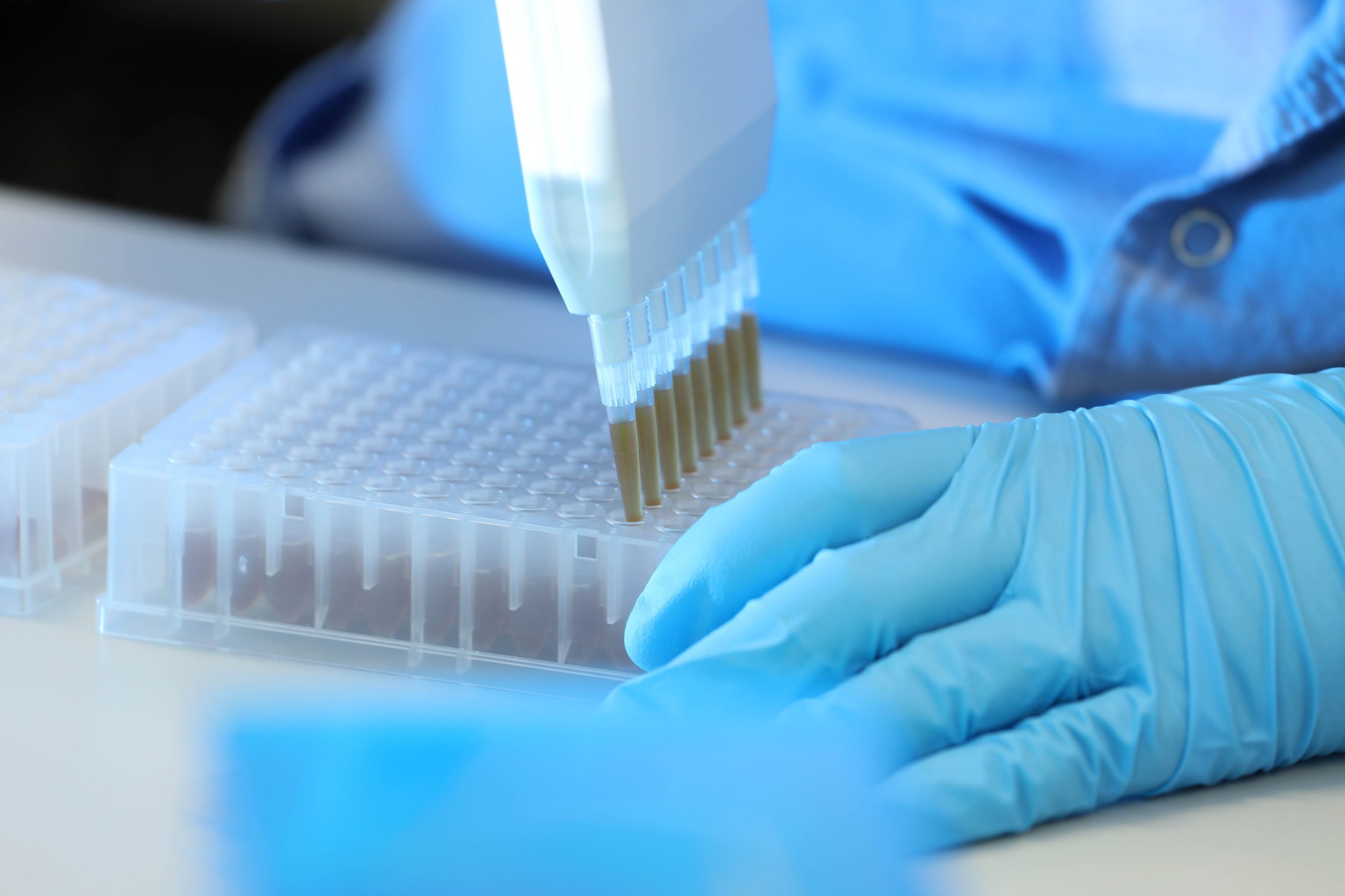 Synbio Workshops — UNSW Founders