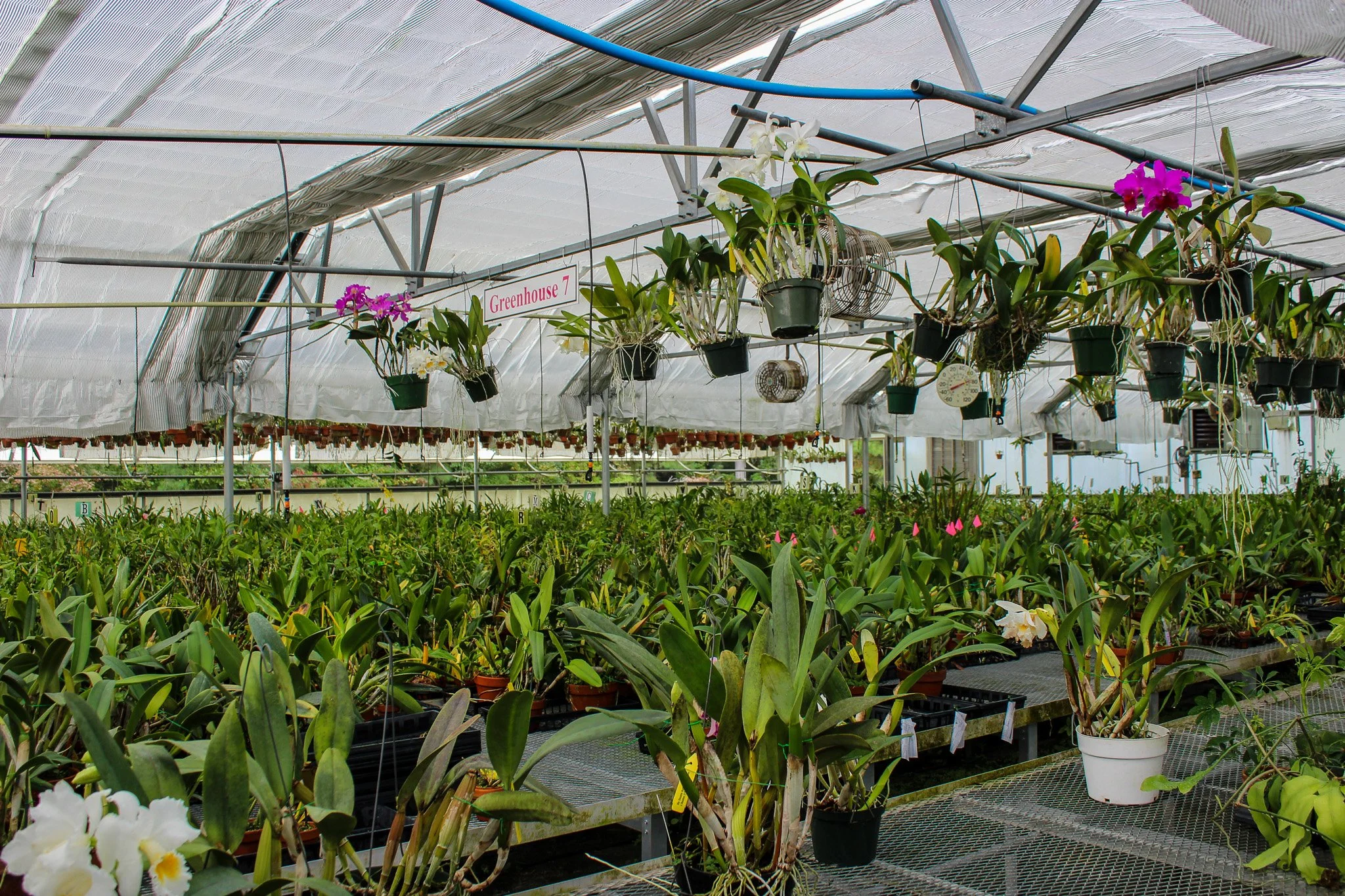 EXPLORE — Visit Powhatan