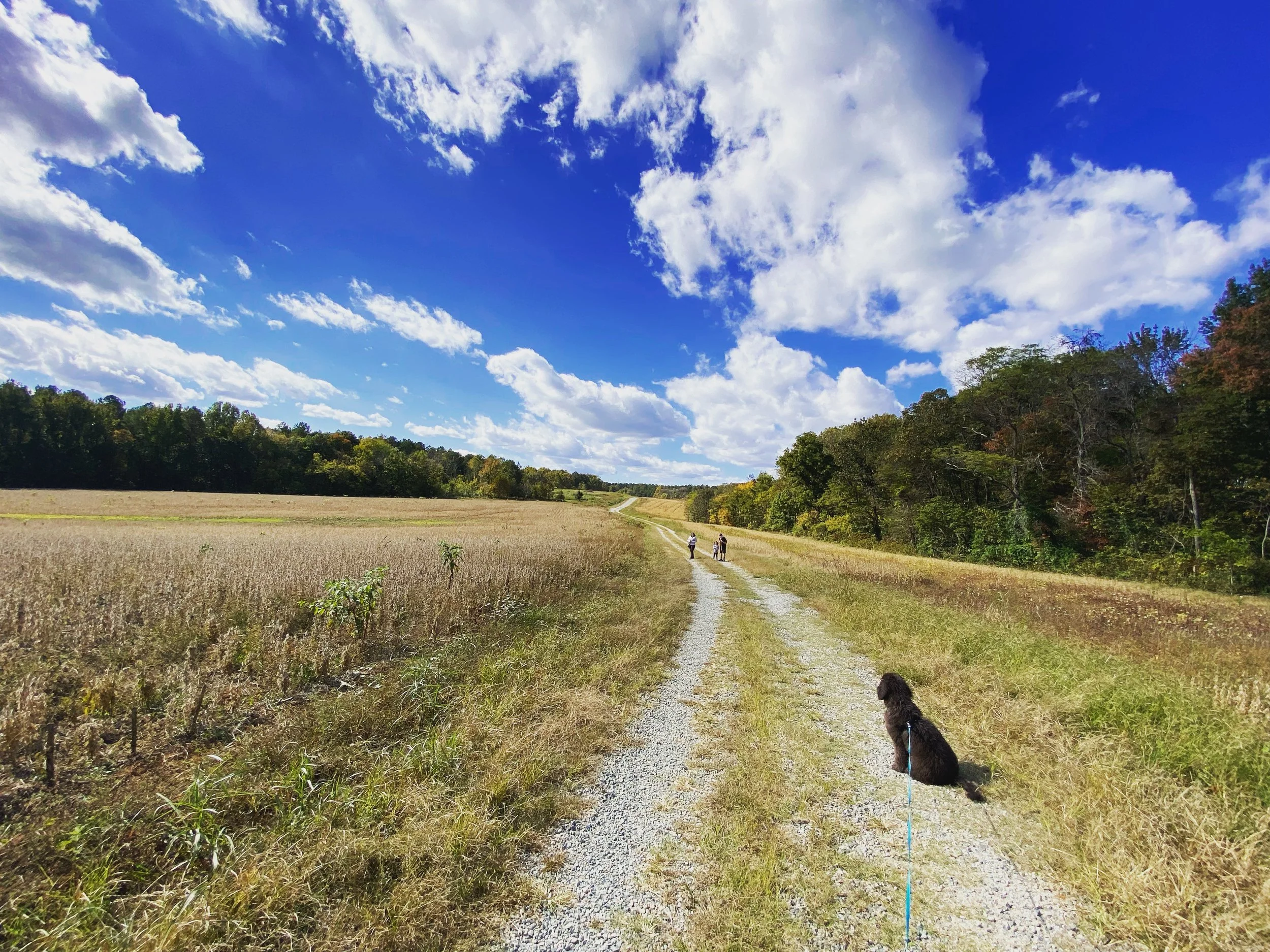 EXPLORE — Visit Powhatan