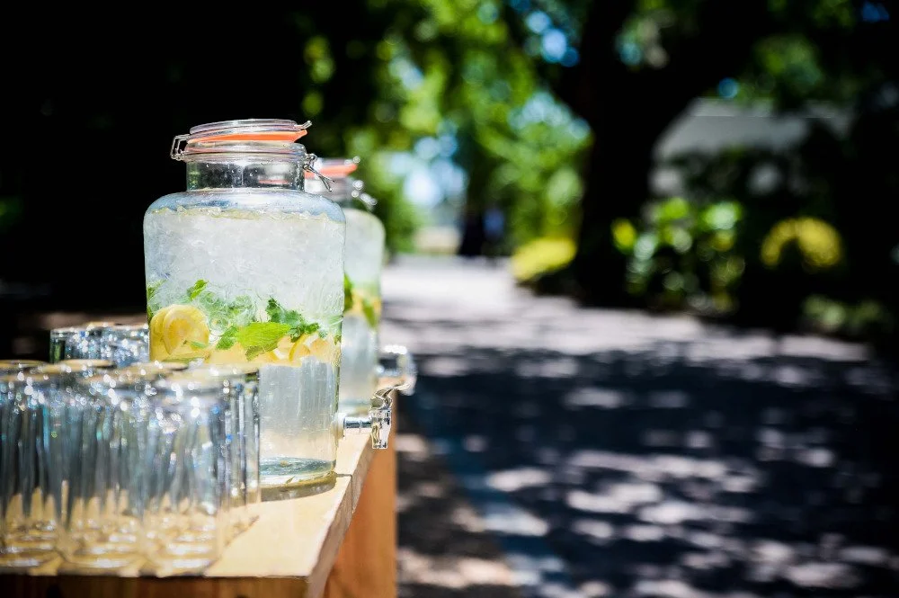 Gallery - Pre Drinks — Nooitgedacht Estate