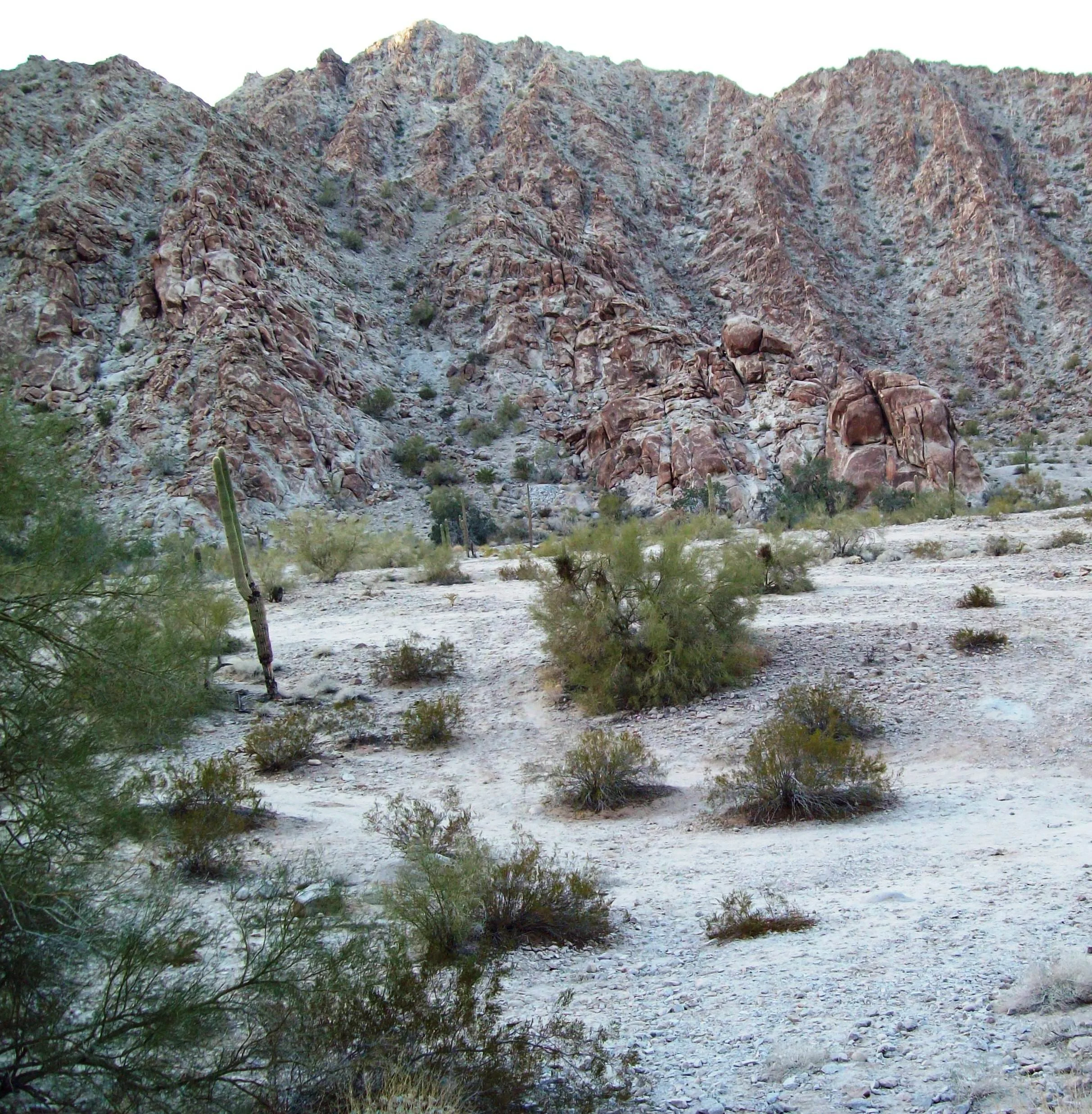 Desolation — THE TUMBLEWEED TRAIL PROJECT