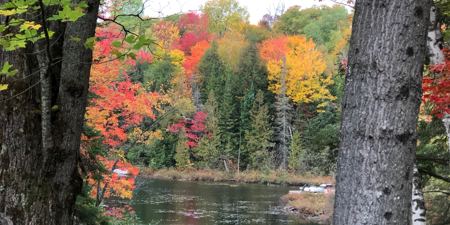 Community Update No. 3 — Conservation Perkins-sur-le-Lac