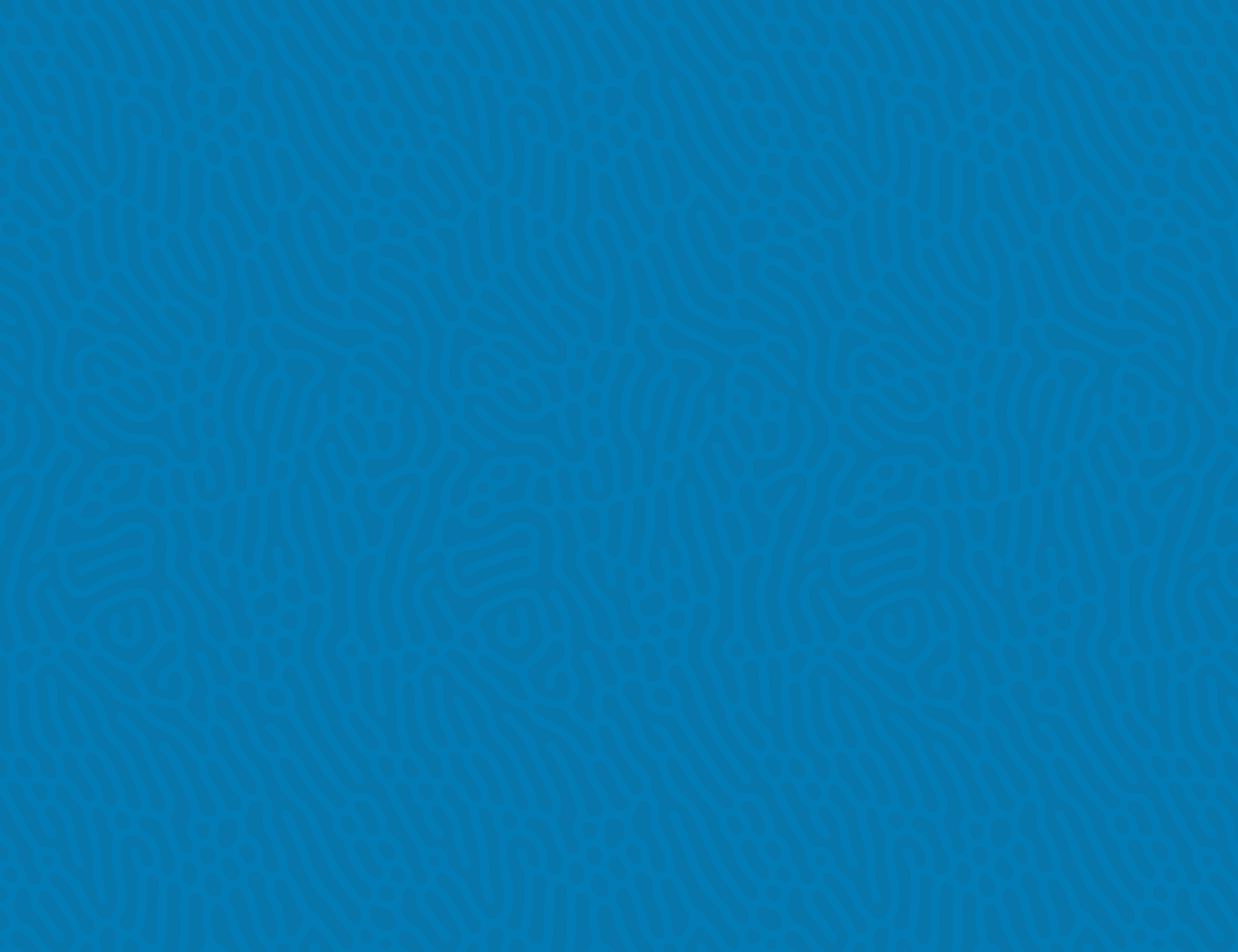 Vehicle Wraps | Wall Wraps | Business Graphics