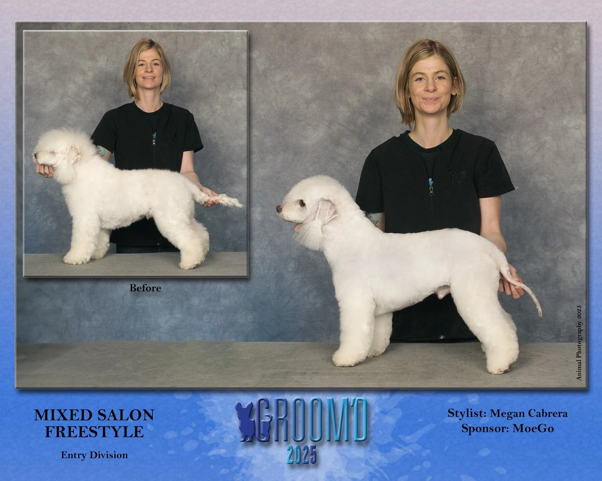 About 1 — Dashing Dog