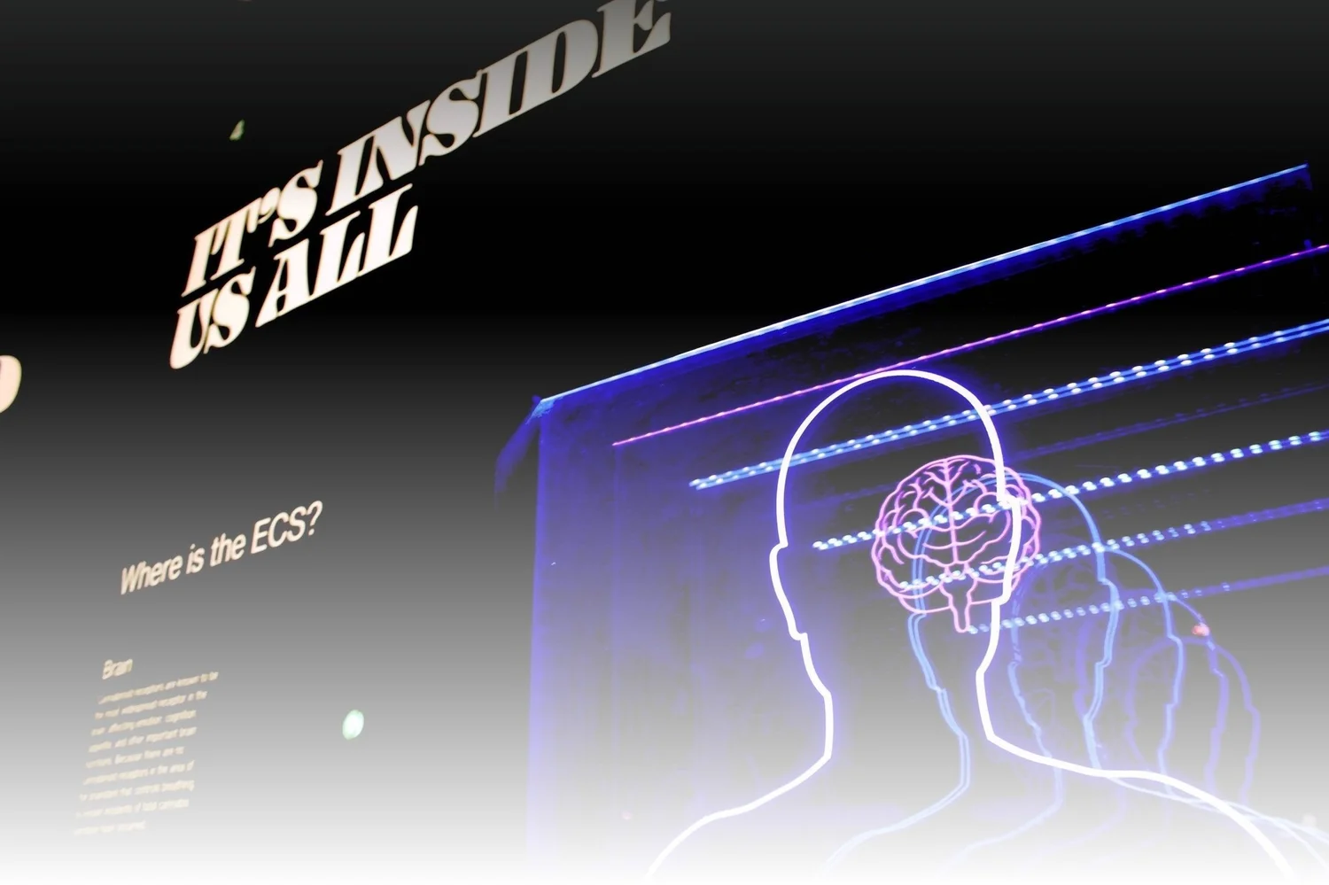 What is Empathic Intelligence? I Ideos Institute