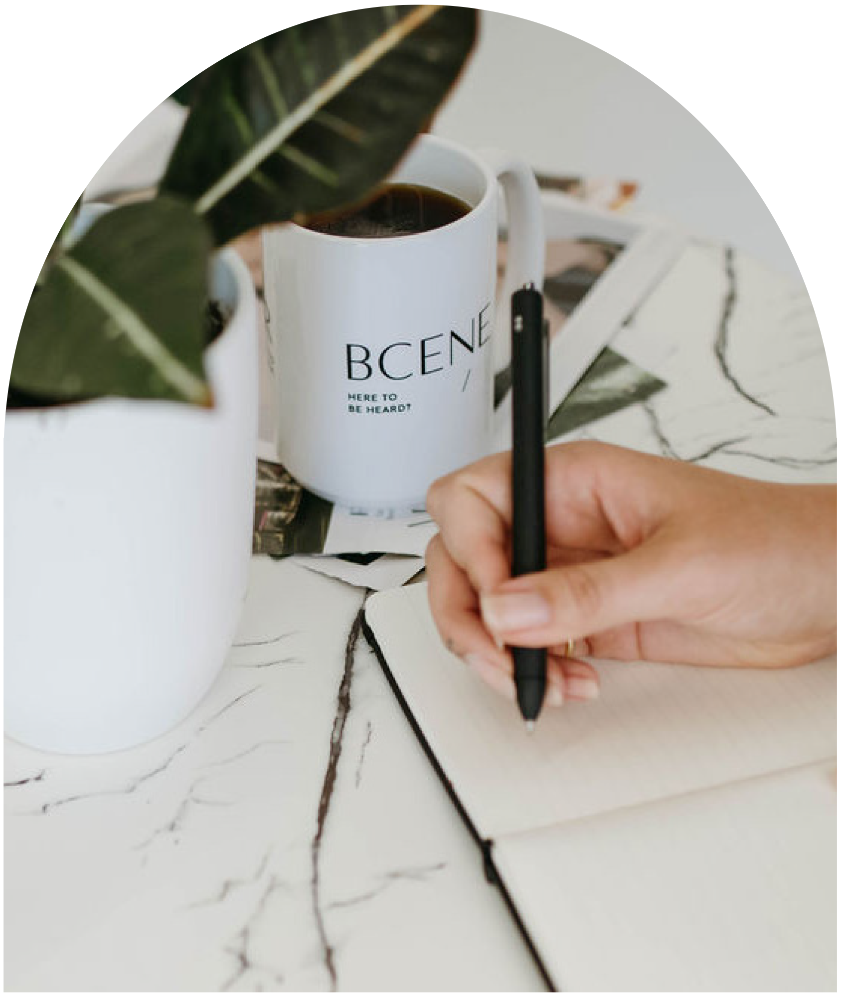 WHAT WE DO — BCENE